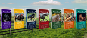 Animal Feed Store - Concord, NH | Osborne's Farm & Garden