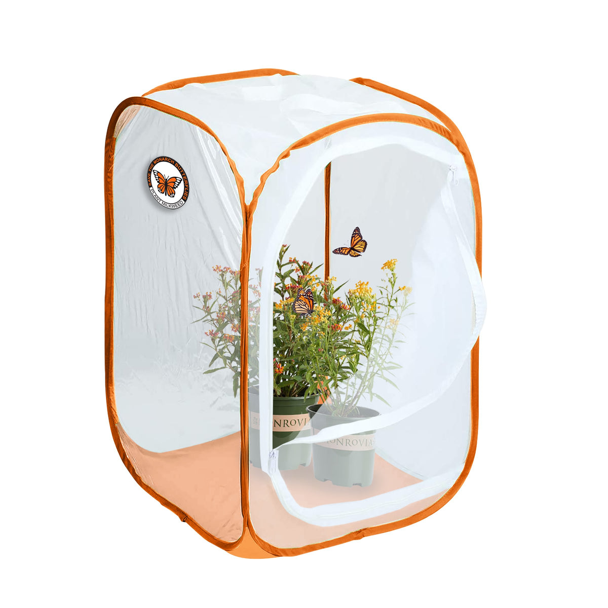 Monarch Butterfly Pop-Up Mesh Incubator - Concord, NH - Hooksett, NH ...